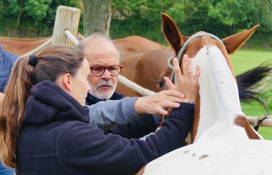 Méthode pédagogique EQUICARE - EQUICARE