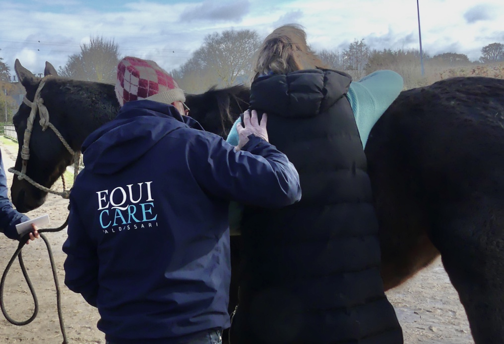 Comment les élèves de l’école EQUICARE sont-ils préparés à l’examen du CNOV délivrant le diplôme ...